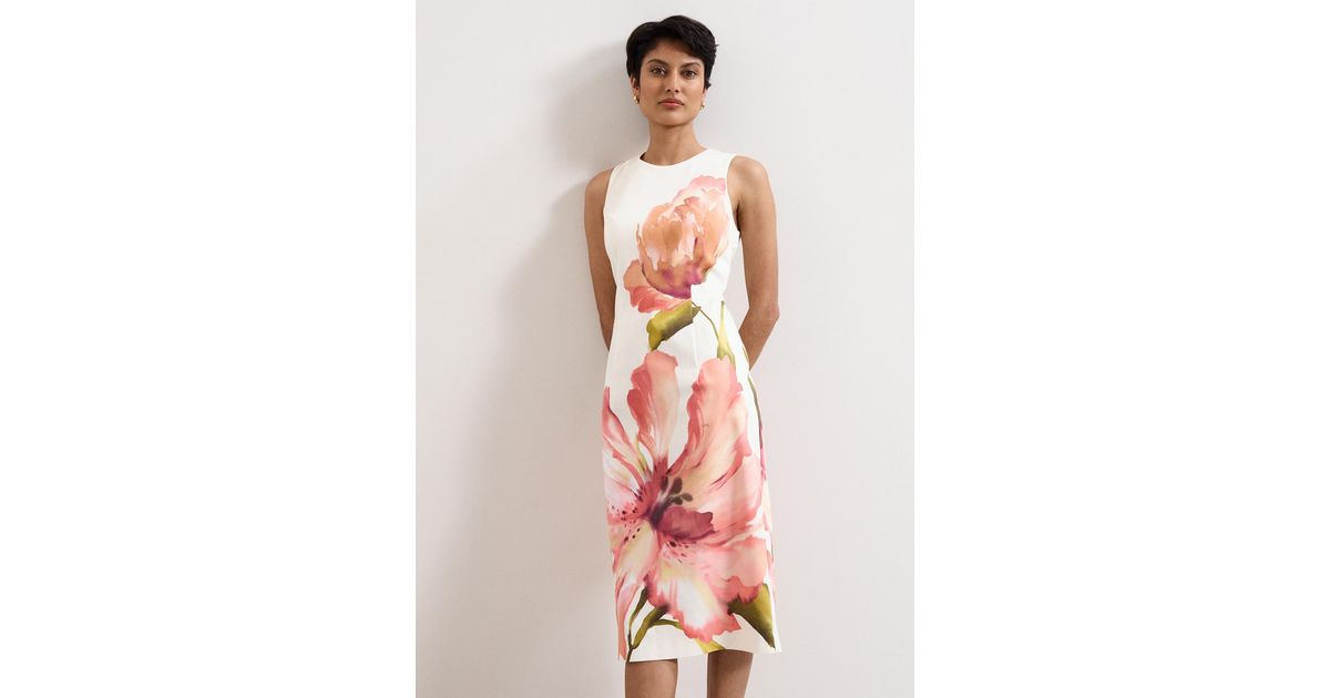 Phase Eight Nadina Floral Midi Dress in White | Lyst UK