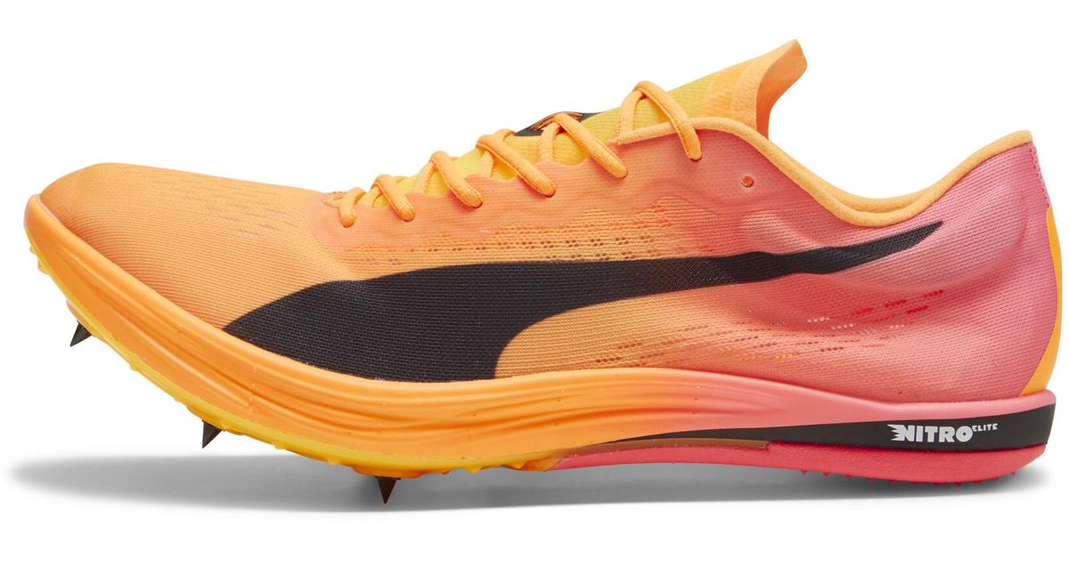 PUMA Evospeed Long Distance Nitroâ Elite 2 Track Field Distance Spikes ...