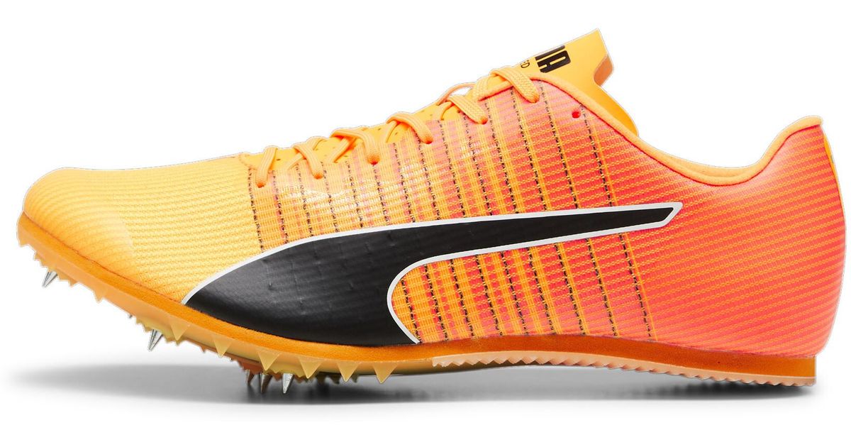 PUMA Evospeed Future Jump 6 Track & Field Jumping Spikes Shoes in ...
