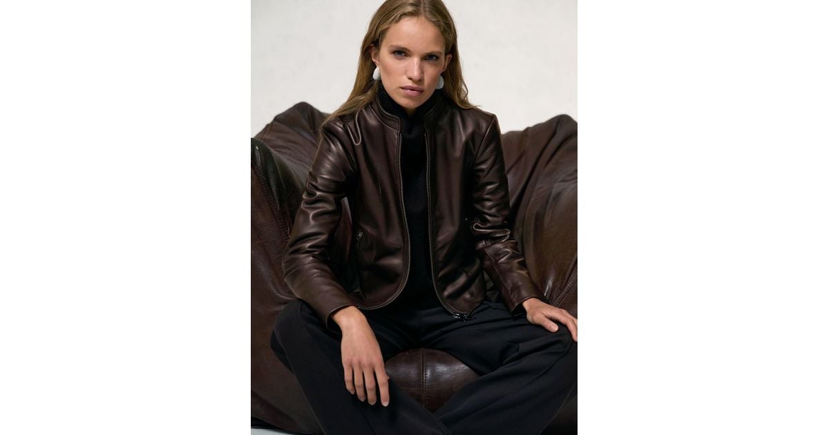 Reiss Allie - Chocolate Brown Leather Collarless Biker Jacket, Us 14 ...