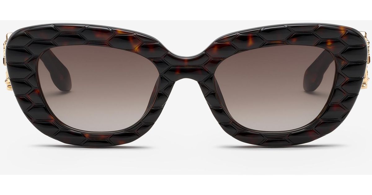 Roberto Cavalli Sunglasses With Wide Bold Cat-Eye Front | Lyst UK