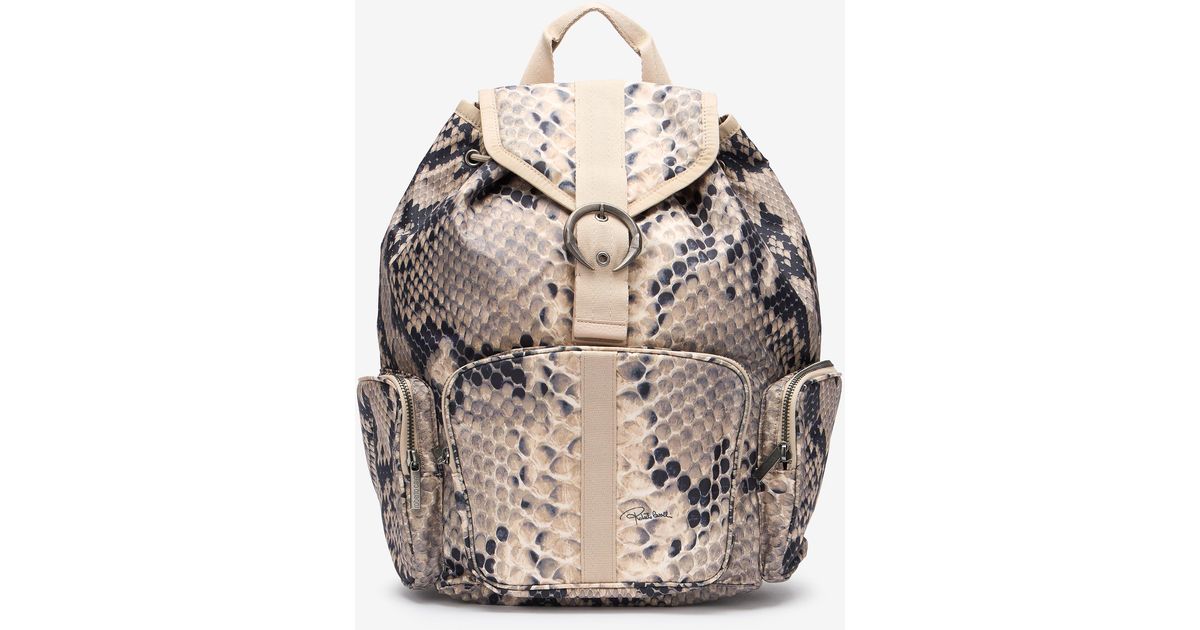 Roberto Cavalli Napoli Python Backpack in Grey | Lyst UK