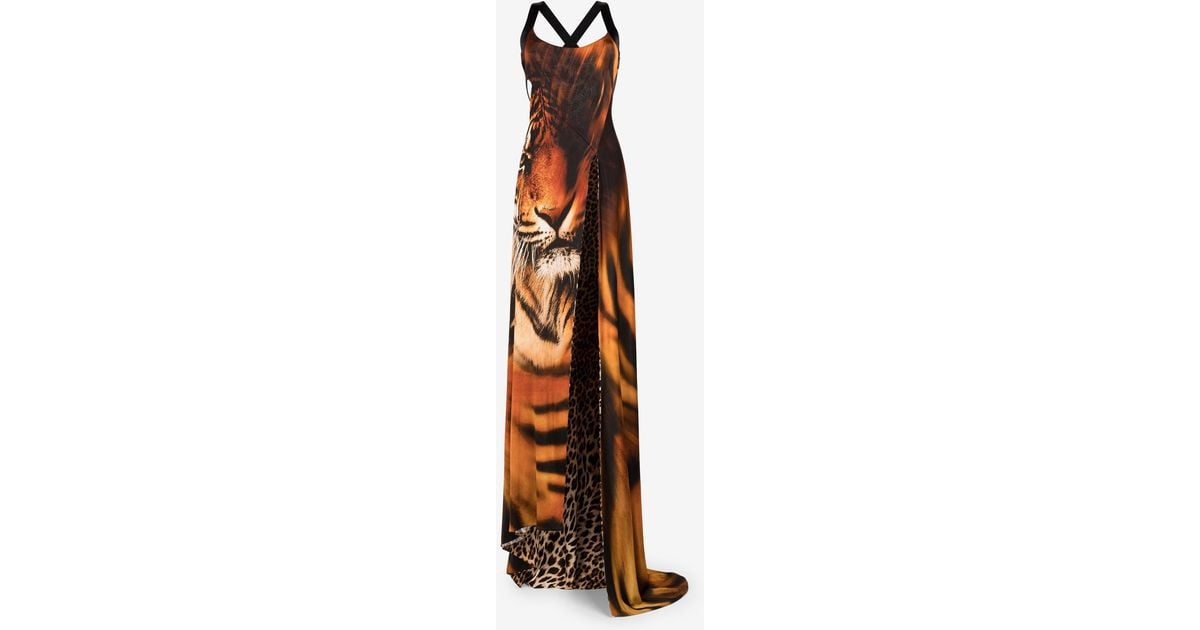 Roberto Cavalli Tiger-Print Cut-Out Maxi Dress in White | Lyst UK