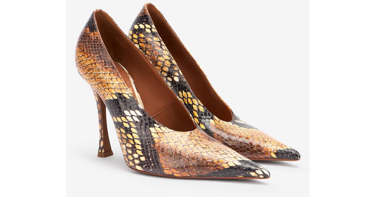 Roberto Cavalli Pumps With Python Print | Lyst