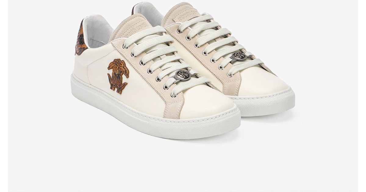 Roberto Cavalli Sneakers With Python Back And Patch for Men | Lyst