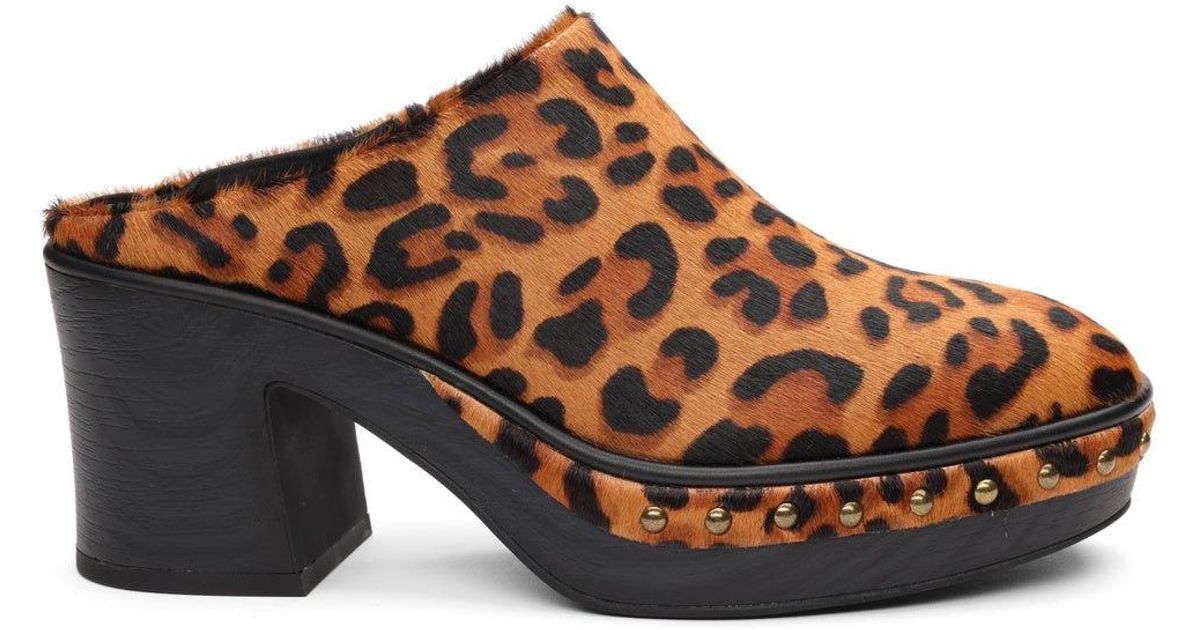 Sanctuary Emersyn Mule Leopard in Brown | Lyst