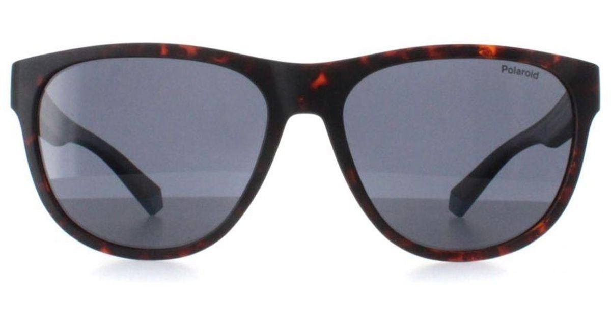 Polaroid Round Matte Havana Polarized Pld 2156/S in Blue | Lyst UK
