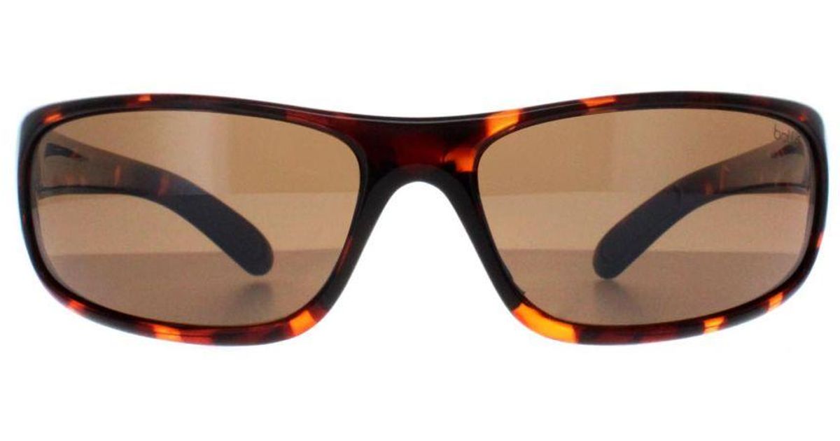 Bollé Wrap Dark Tortoise Shiny Polarized Anaconda in Brown | Lyst UK