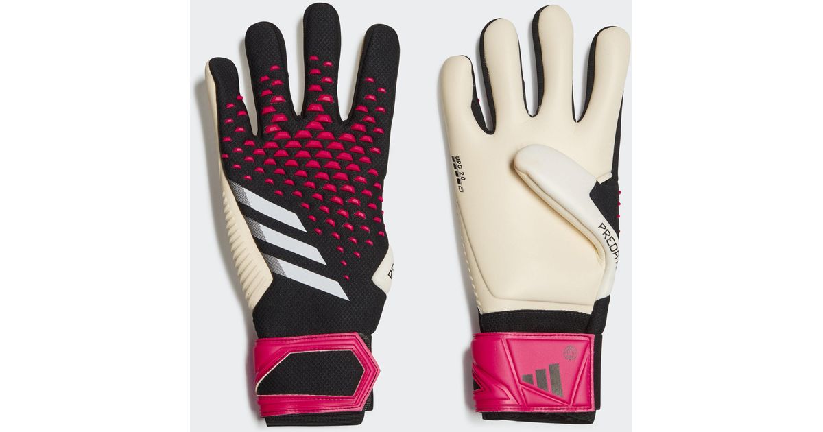 adidas Predator Competition Gloves | Lyst UK