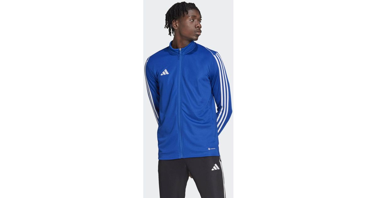 adidas Originals Tiro 23 League Training Jacket in Blue for Men | Lyst UK