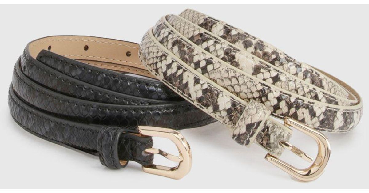 Boohoo Snake Print 2 Pack Basic Skinny Belts in Black | Lyst UK