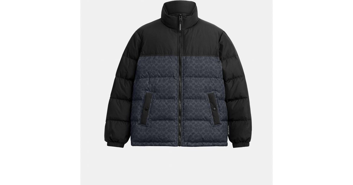 COACH Signature Down Jacket in Black for Men | Lyst UK