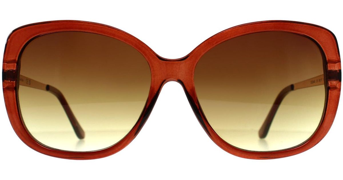 Calvin Klein Butterfly Transparent Gradient Ck22548S in Brown | Lyst UK