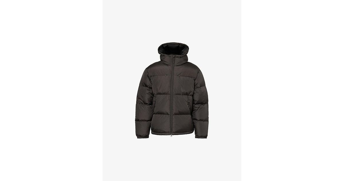 Hiking Patrol Element Padded Shell-Down Jacket in Black for Men | Lyst