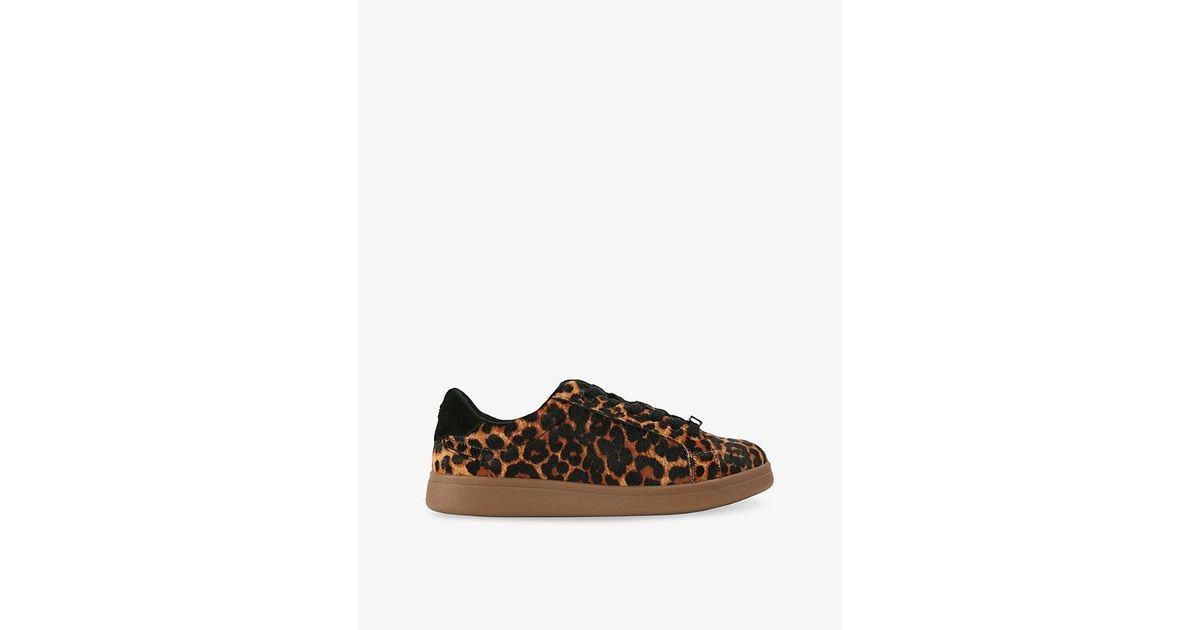 KG by Kurt Geiger Eliza Leopard Faux-Leather Trainers in Brown | Lyst UK