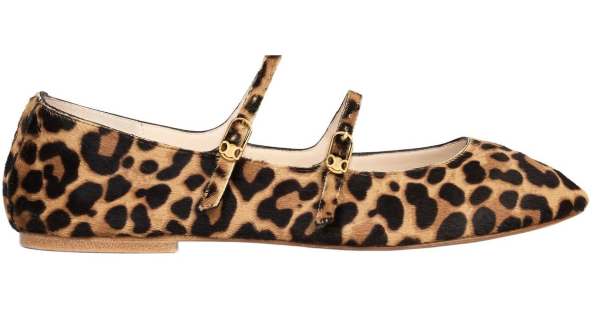 Celine Les Ballerines Double Strap Ballerina in Brown | Lyst