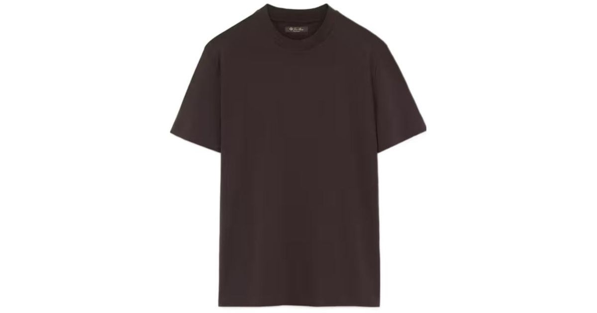 Loro Piana Ray T-Shirt in Brown for Men | Lyst