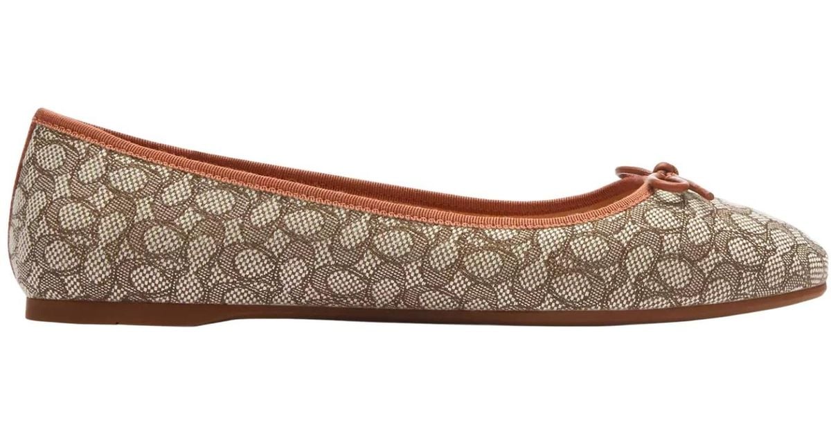COACH Abigail Monogram Ballerina Shoes in Brown | Lyst