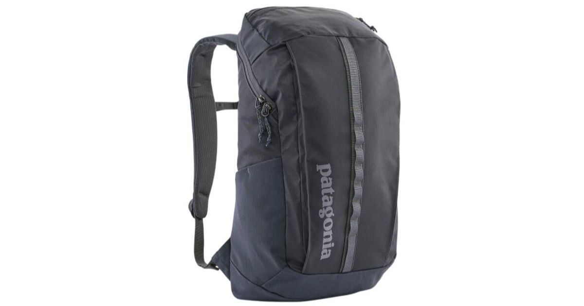Patagonia 25L Backpack in Gray | Lyst