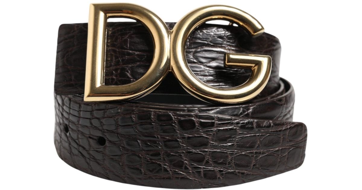 Dolce & Gabbana Crocodile Flank Nappa Leather Belt With Dg Logo in ...