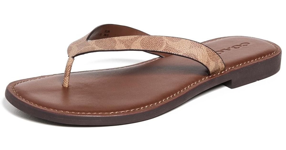 COACH Brianna Flip Flop Flat Sandals in Brown | Lyst