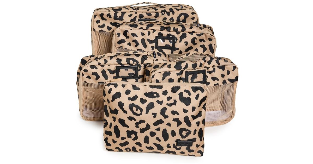 CALPAK 5 Piece Packing Cube Set in White | Lyst
