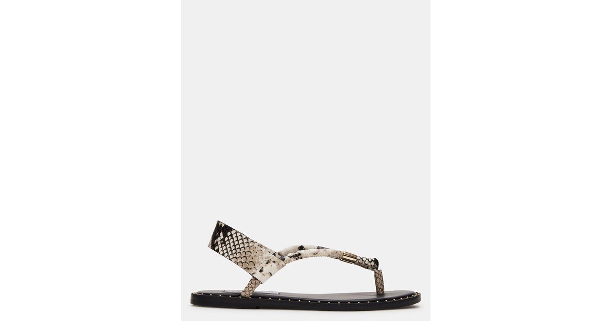 Steve Madden Meduza Snake in White | Lyst
