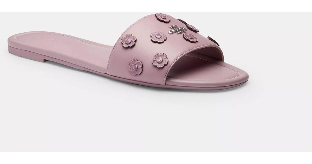 COACH Slide Sandal With Tea Rose in Pink | Lyst