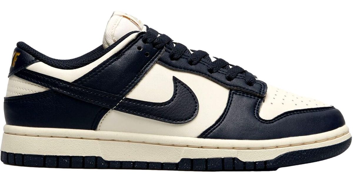 Nike Dunk Low Next Nature Phantom/Obsidian-Pale Ivory Fz6770-001 in ...