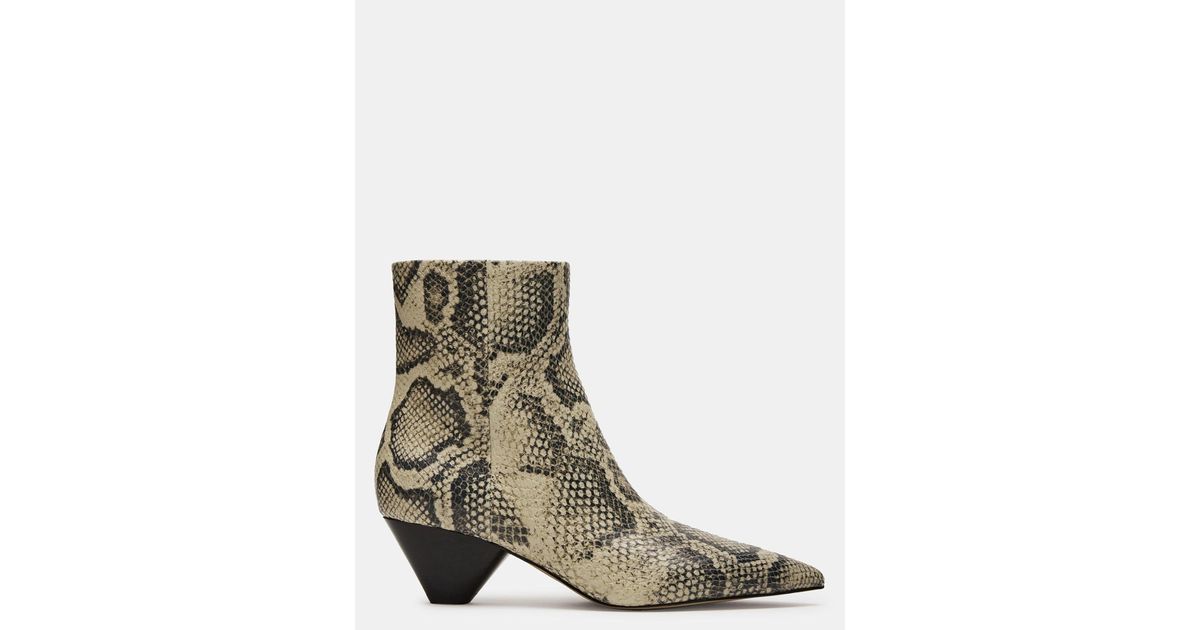 Steve Madden Brooks Snake in Green | Lyst