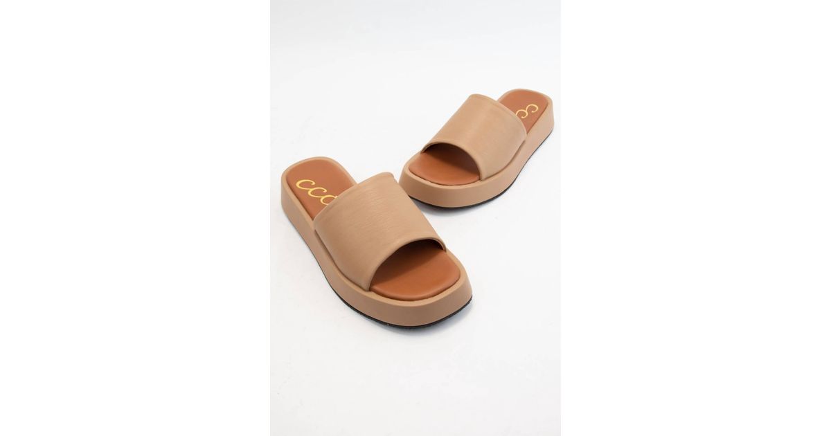 Ccocci Tove Chunky Platform Sandal in White | Lyst