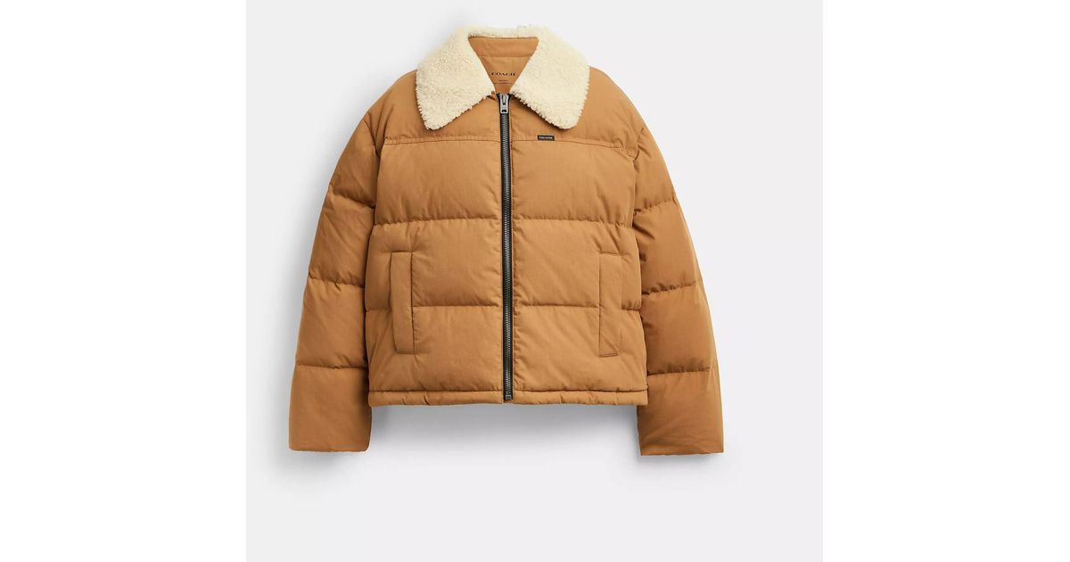 COACH Cotton Puffer With Shearling Collar in Brown | Lyst