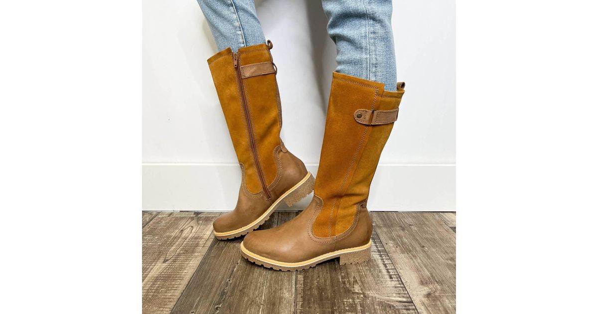 Eric Michael Tall Boot in Blue | Lyst