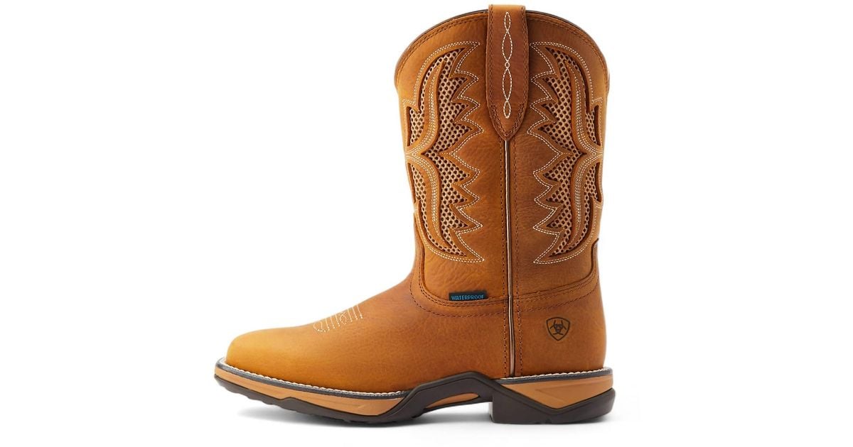 Ariat Anthem Venttek H2O Boot in Brown | Lyst