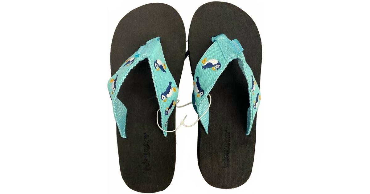 Tidewater Pengu Flip Flop Sandals in Green | Lyst