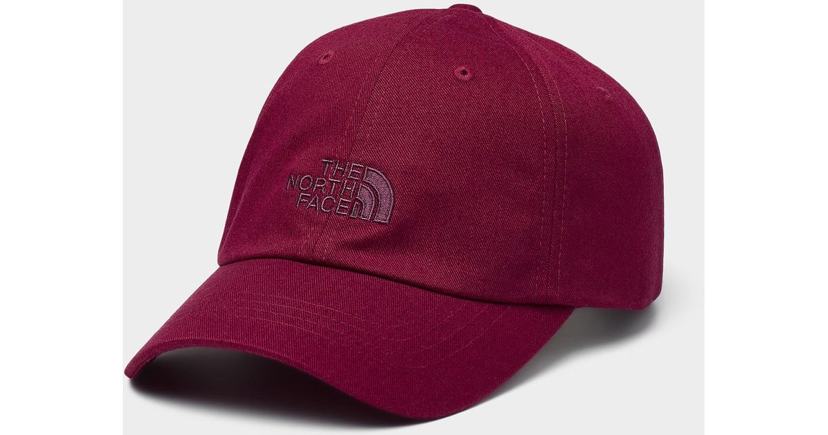 The North Face Neutral Tone Signature Cap in Red | Lyst