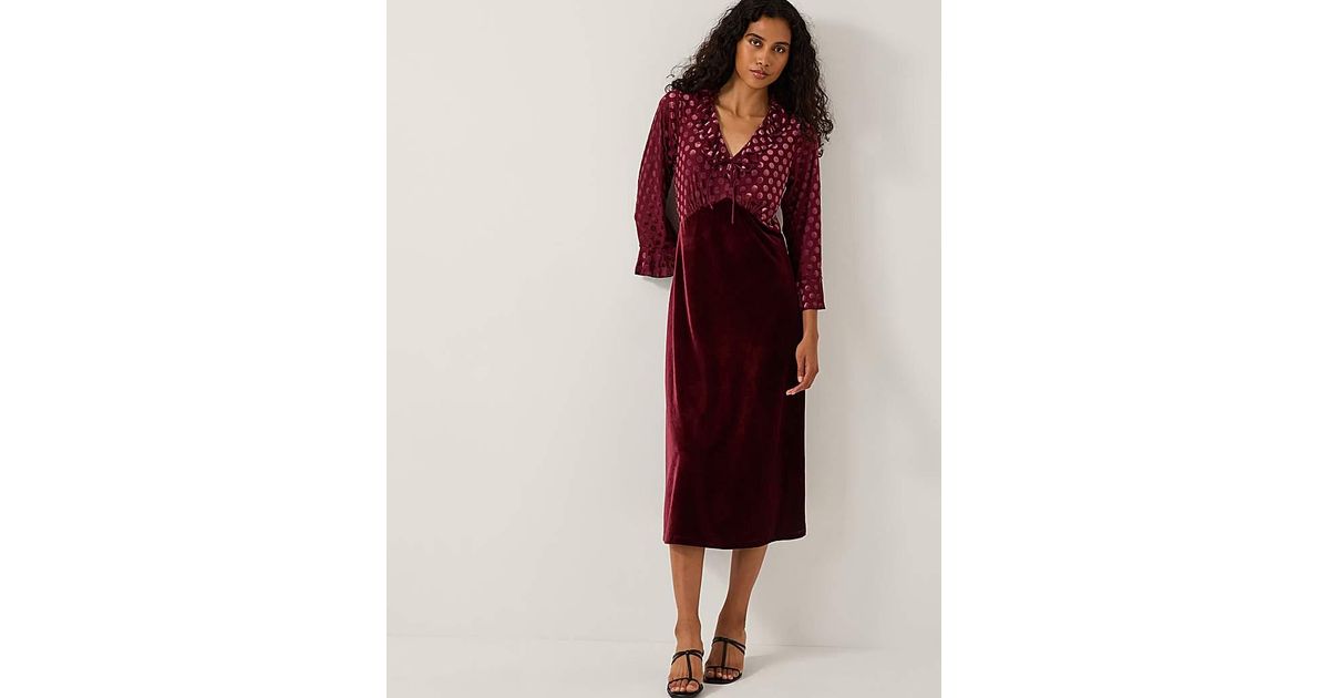 Monsoon Dua Polka Dot Velvet Midi Dress in Red | Lyst UK