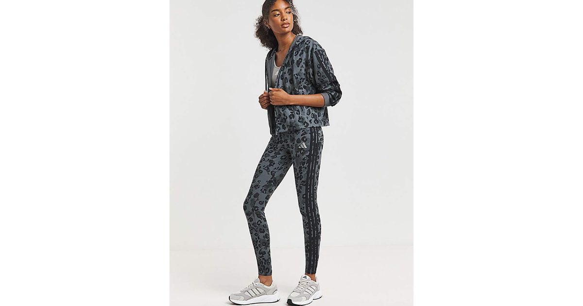 adidas Leopard Print Legging in Blue | Lyst UK