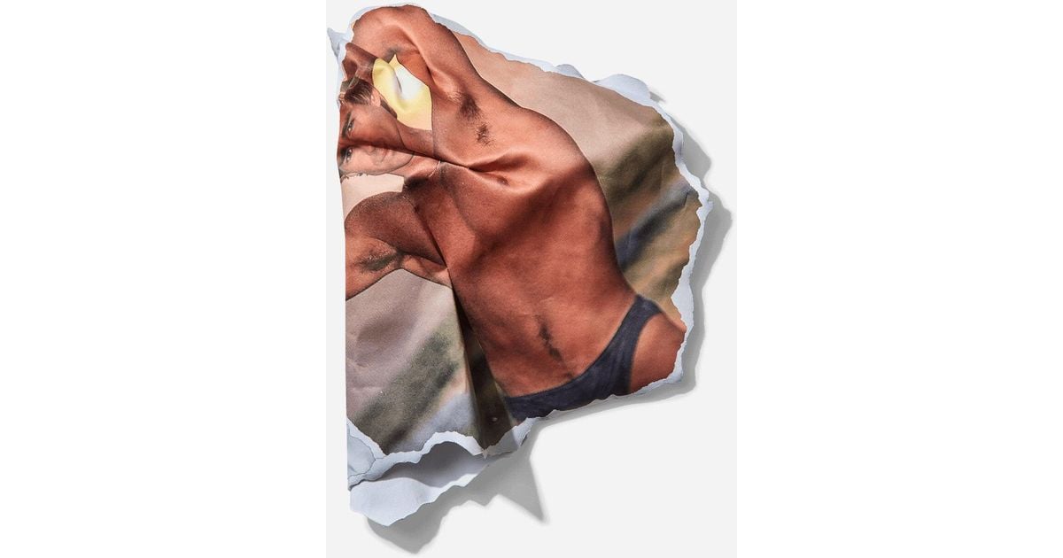 Abra Poster Top in White | Lyst