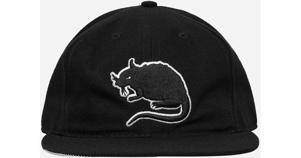 Stray Rats Rat Logo Fitted Hat in Black for Men | Lyst UK
