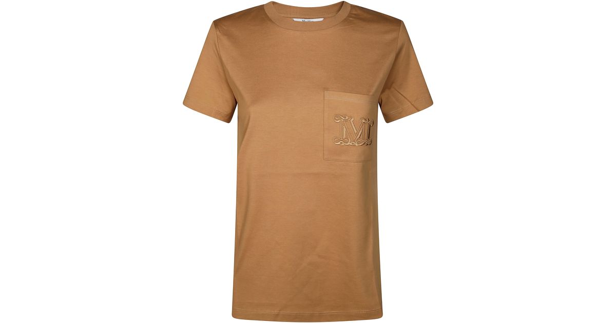 Max Mara Papaia Ts Taschino M in Brown | Lyst