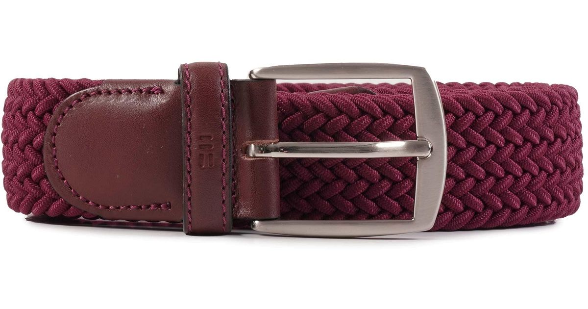 Miguel Bellido Belts Miguel Bellido Woven Belt in Purple for Men | Lyst UK
