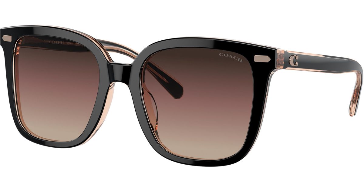COACH Sunglass Hc8381f Cl919 in Black | Lyst UK
