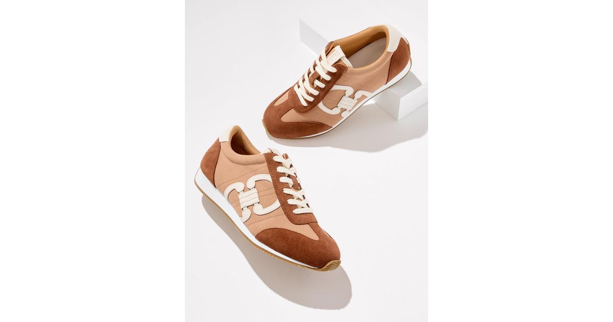 Talbots Alex Status Herringbone Suede Sneakers | Lyst UK