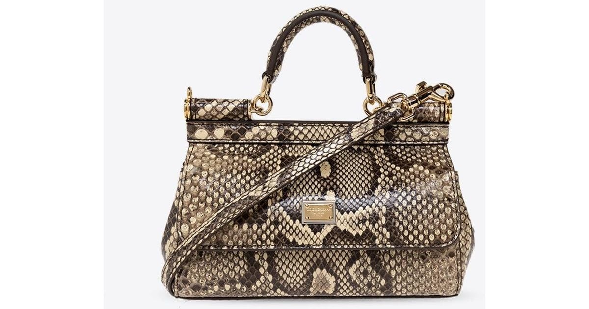 Dolce & Gabbana Small Sicily Python-Skin Top Handle Bag in Natural | Lyst