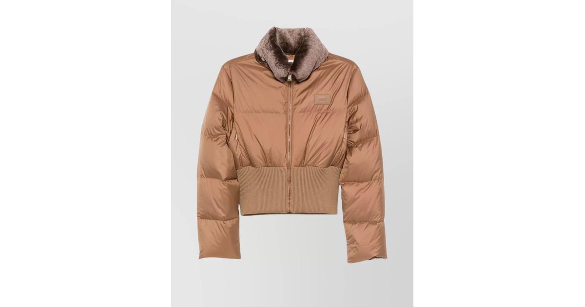 Fendi Short Down Jacket Featuring Fur Collar in Brown | Lyst UK