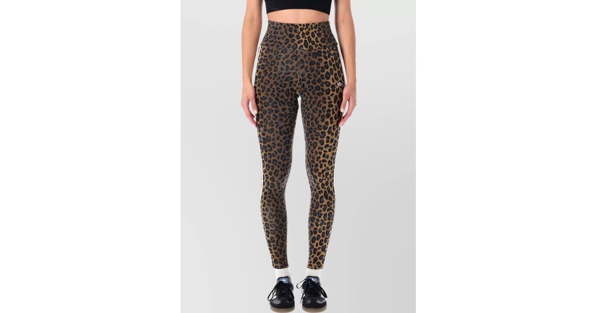 adidas Originals Leopard Print Leggings Stripes in Black | Lyst UK