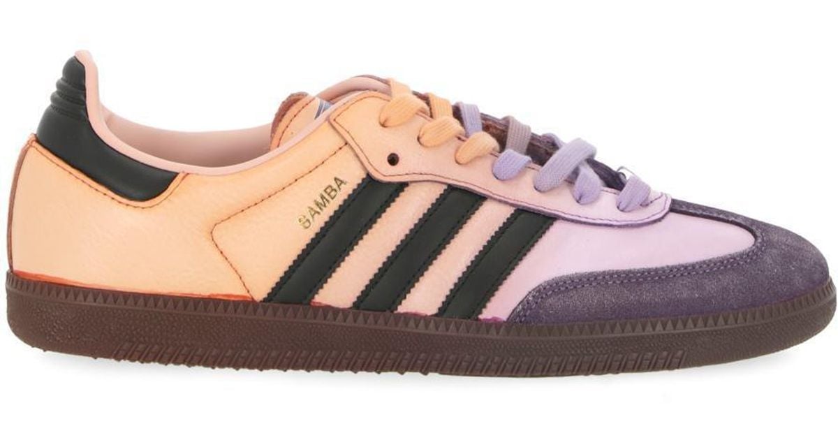 Seddy's Sneakers in Brown | Lyst