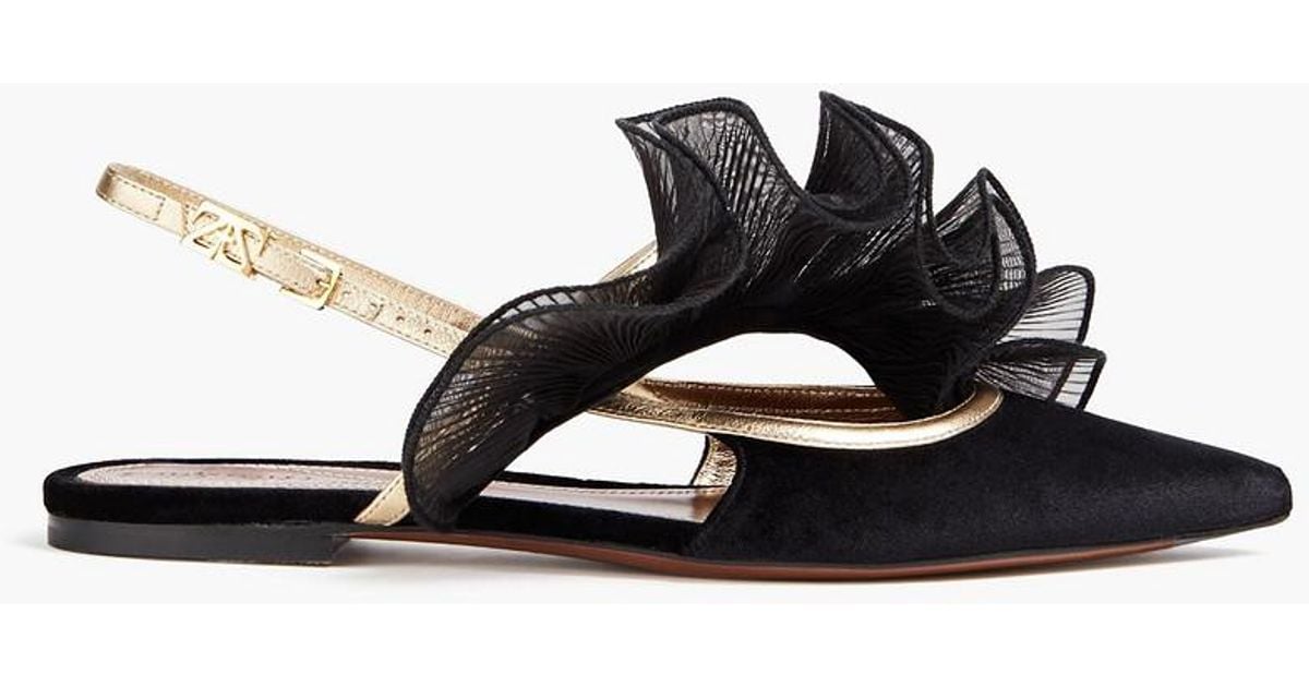 Zimmermann Ruffled Plissé-organza And Velvet Slingback Point-toe Flats ...