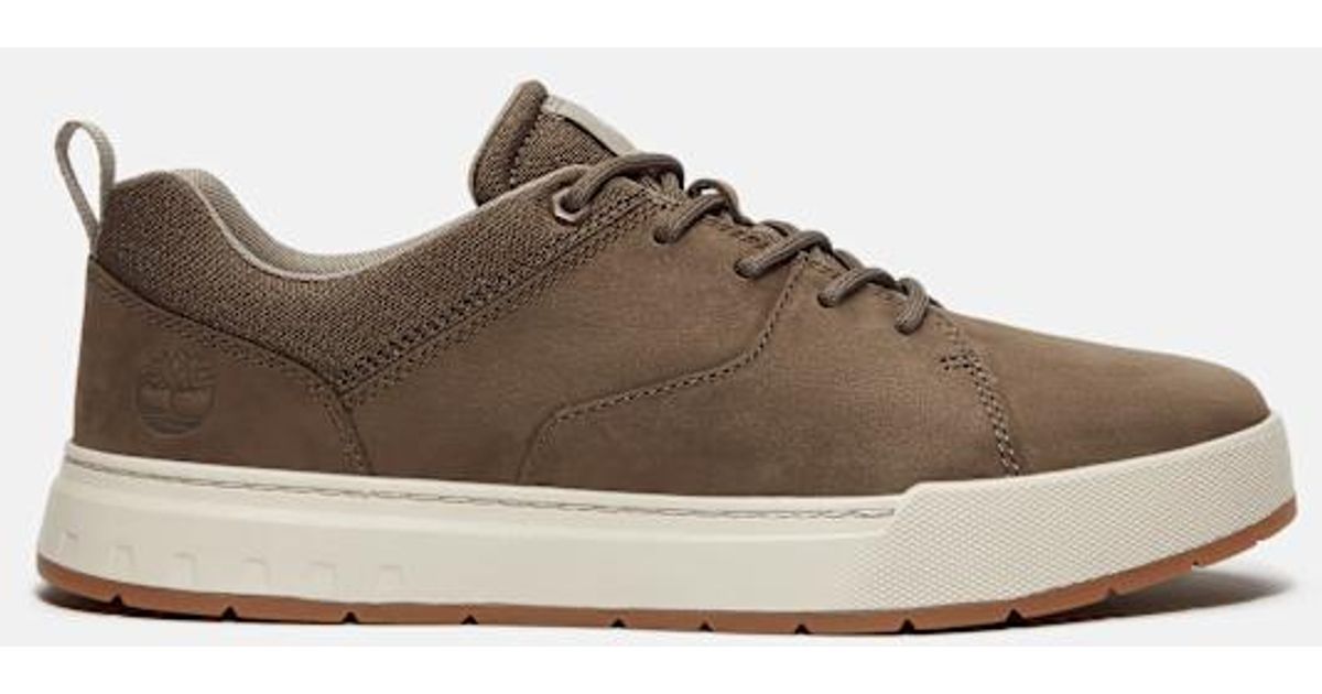 Timberland Maple Grove Trainer For in Brown for Men | Lyst UK